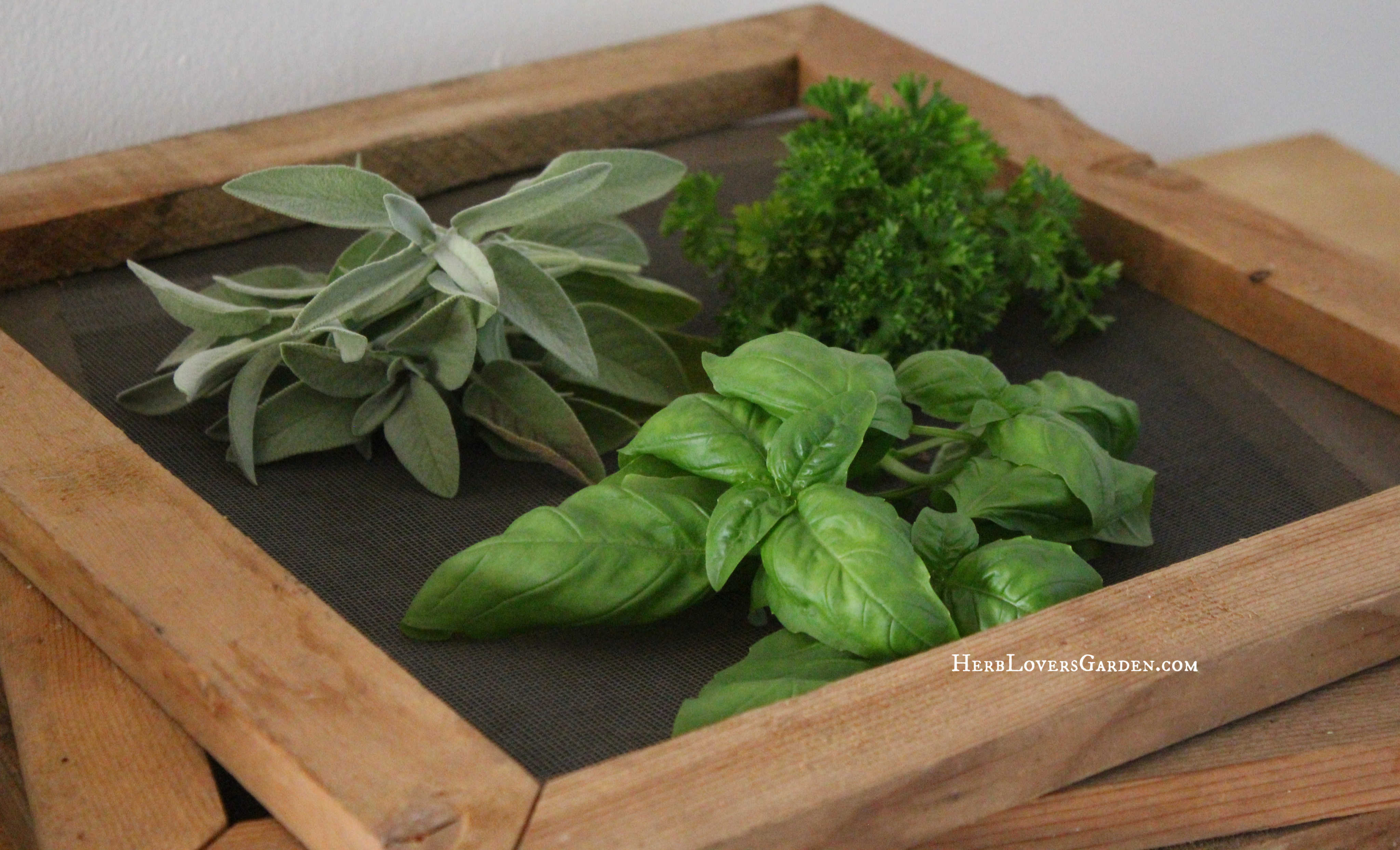 Make these easy Herb Drying Screens! – The Herb Lover's Garden