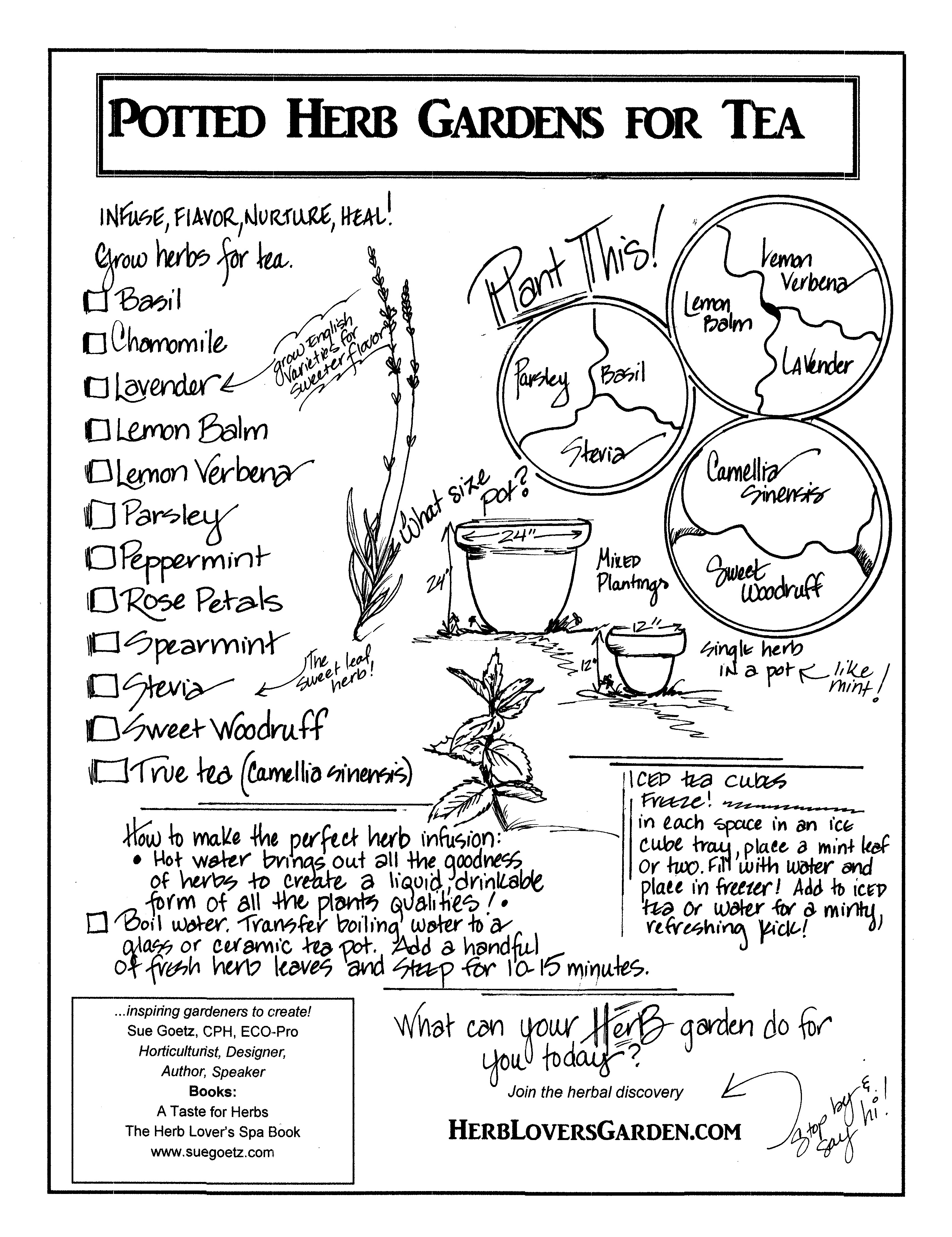 A Garden of Herbal Tea – The Herb Lover's Garden