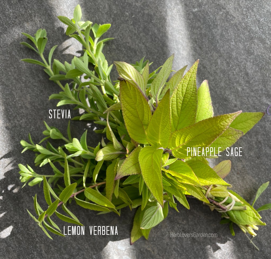 The Herb Lover's Garden – Plant, nurture, harvest and creatively use ...