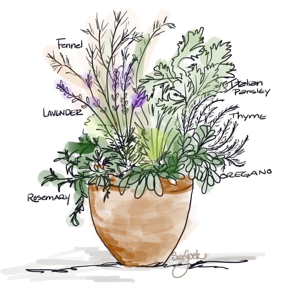 Spring into Your Herb Garden! – The Herb Lover's Garden