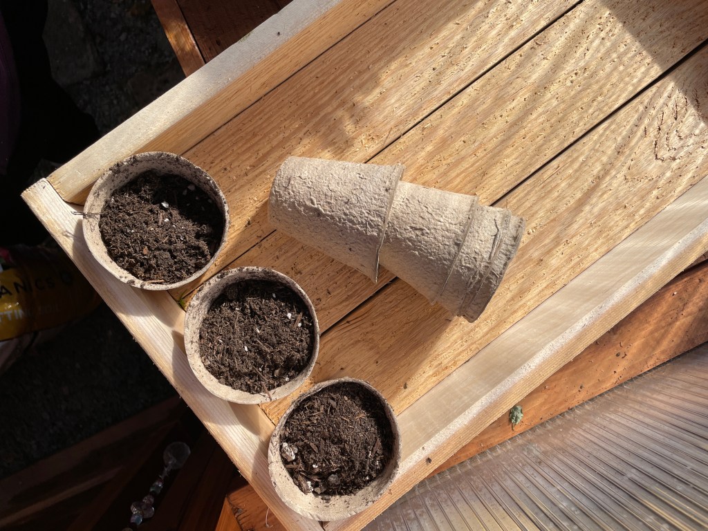 Make this! Wood Plant Flats! – The Herb Lover's Garden